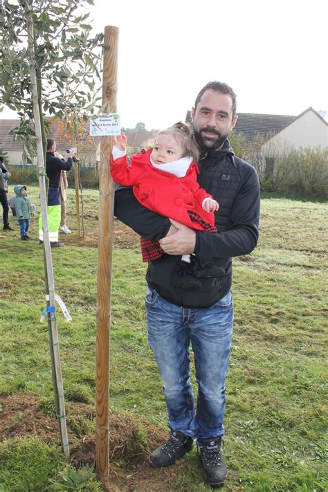 Une Naissance Un Arbre 26 11 2022 19 La Suze Sur Sarthe