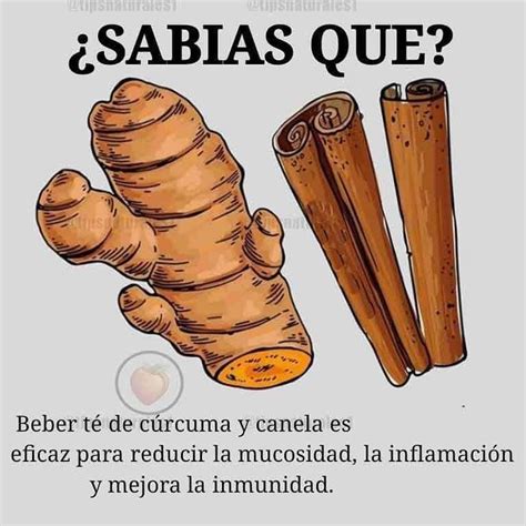 12 5 Mil Me Gusta 143 Comentarios Libres De Toxinas