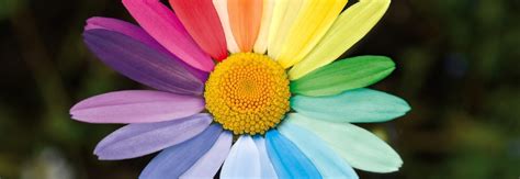 Supporting LGBTQ Employees Providing A Safe Inclusive Workplace
