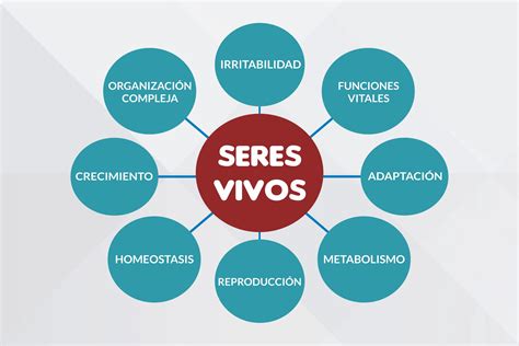 Zp Im Genes Caracter Sticas De Los Seres Vivos Paulo Escobedo