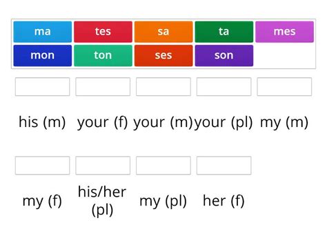 Les Adjectifs Possessifs Match Up