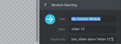 Slider Revolution Manual Custom Module Quick Start