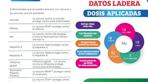 Sabes Que Enfermedades Se Pueden Prevenir Con Vacunas Y Con Cu Les