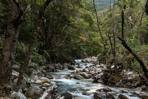 Parque Nacional Lago Puelo Argentina Gob Ar