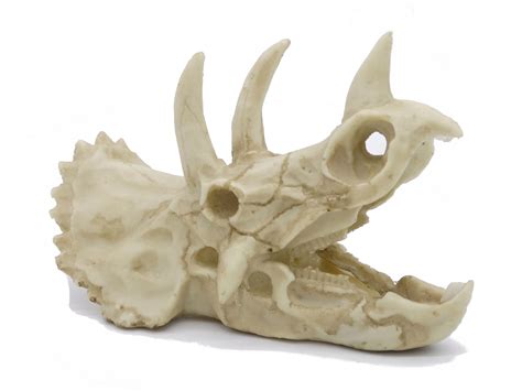 CZASZKA DINOZAURA OZDOBA TERRARIUM AKWARIUM 12983739274 Allegro Pl