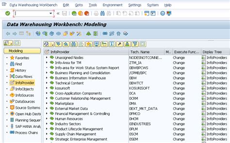 SAP BW On HANA Introduction To SAP GUI SAP HANA Tutorial