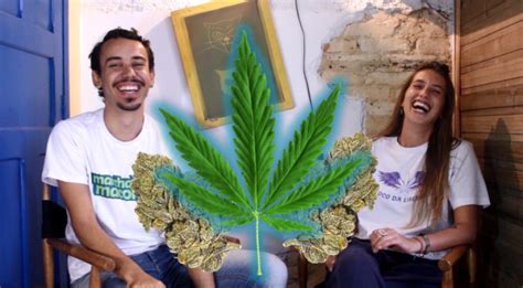 V Deo Apresenta Dicas De Redu O De Danos No Uso De Maconha Maryjuana