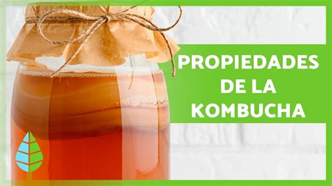 Beneficios De La Kombucha Propiedades Para Qu Sirve Y C Mo Hacer
