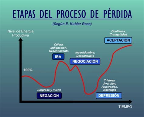 El duelo y sus fases Cómo superar la pérdida