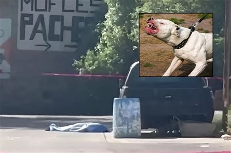 Pitbull ataca brutalmente y mata a mujer de 50 años en Parral