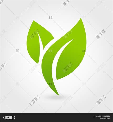 Eco Icon Green Leaf Vector Photo Free Trial Bigstock