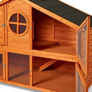 Pets At Home Foxglove Guinea Pig Hutch Brown Pets At Home
