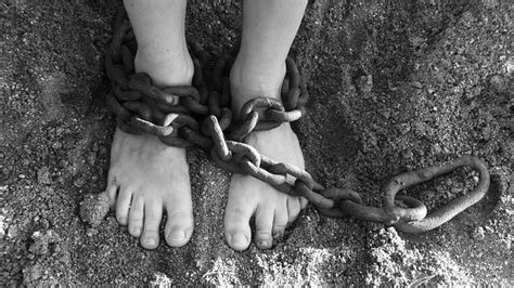 My Caged Life The Male Factor Tmf