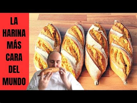 Te enseño a hacer un PAN CASERO FÁCIL con la HARINA CARA DEL MUNDO
