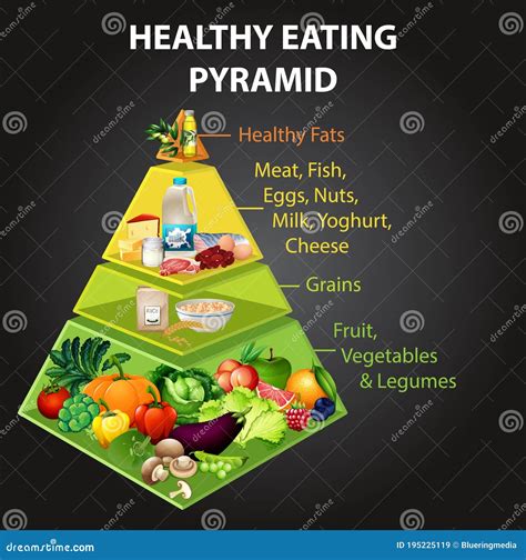健康饮食金字塔 向量例证 插画 包括有 生物 食物 科学 巴西 螺母 肥胖 牛奶店 蛋白质 195225119