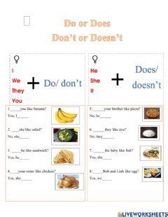 Do Does Don T Doesn T Language English Grade Level School