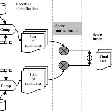 graphical representation of the hierarchical model download scientific diagram