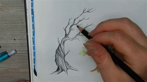 Comment Dessiner Un Arbre YouTube