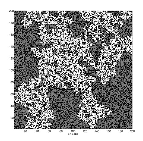 site percolation on a square lattice concentration of conducting download scientific diagram