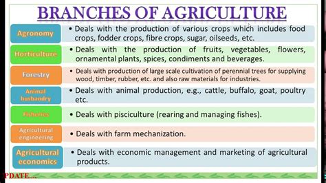 INTRODUCTION OF AGRICULTURE IMPORTANCE OF AGRICULTURE SCOPE OF