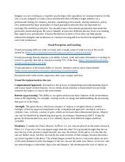 3 2 Short Presentation Visual Perception Docx Imagine You Are Working