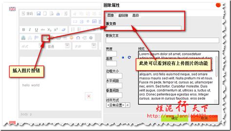 vscode中使用markdown及插入图片方法 程序员大本营