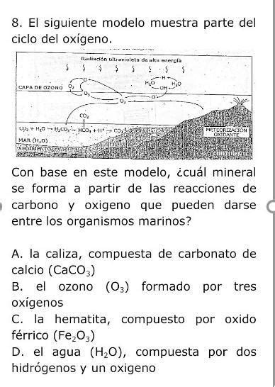 Ay Dame Es Para Hoy Por Favor Lo Necesito Urgente Abcdcu L Es La