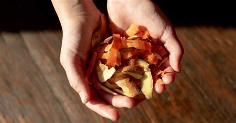 Come Riciclare Gli Scarti Alimentari Ricette E Consigli Radio Capital