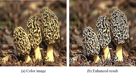 adaptive fractional differential algorithm for image edge enhancement and texture preserve using