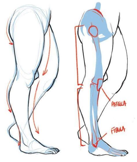 Tutorials Drawing Склад уроков по рисованию VK Art reference