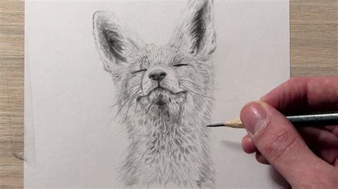 Cómo dibujar un Zorro YouTube