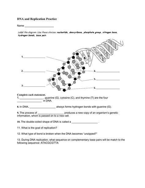 DNA And Replication Practice