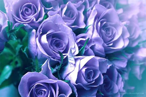Details 100 Imagen Rosas Moradas Y Azules Abzlocal Mx