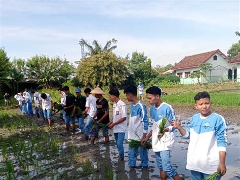 AGRIBISNIS TANAMAN PANGAN Dan HORTIKULTURA SMKN 2 BAGOR