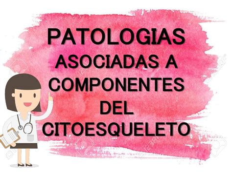 Patologías asociadas a componentes del citoesqueleto María Clara