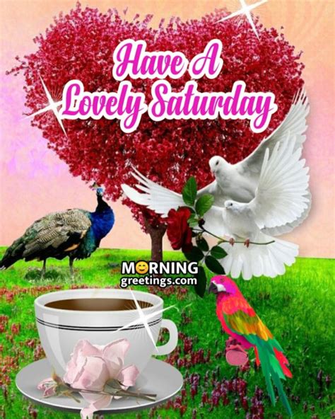 70 Splendid Saturday Quotes Wishes Pics Morning Greetings Morning