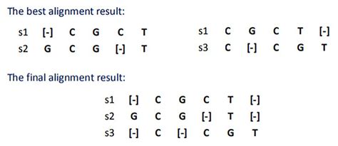 frontiers efficient multiple sequences alignment algorithm generation via components assembly