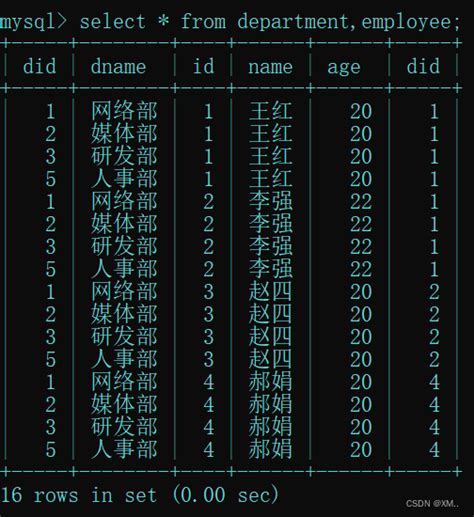 mysql基础学习第九课（了解使用，交叉连接、内连接、自连接查询的方法） 交叉连接后的主键 csdn博客