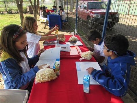 Bibliocra Colegio La Fuente Picnic Literario B Sico