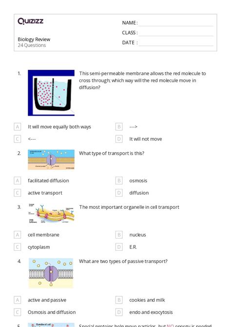 Biology Worksheets For Th Grade On Quizizz Free Printable