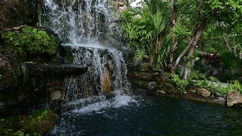 Cachoeira Música de paz e esperança Relaxar Acalmar Relaxante