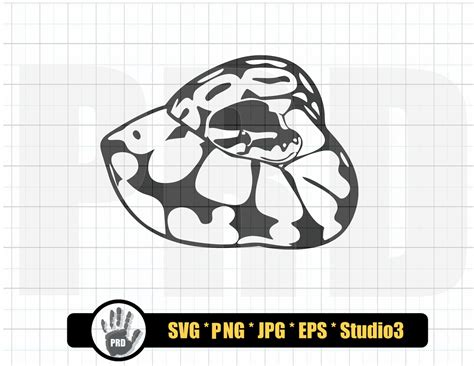 Ball Python SVG Design Bundle Ball Python Ball Pythons Svg Etsy