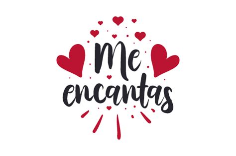 60 Frases Para Regalar Flores Y Ramos A Alguien Que Te Gusta
