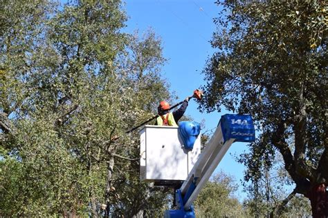 Endesa invierte más de un millón en trabajos de prevención contra los