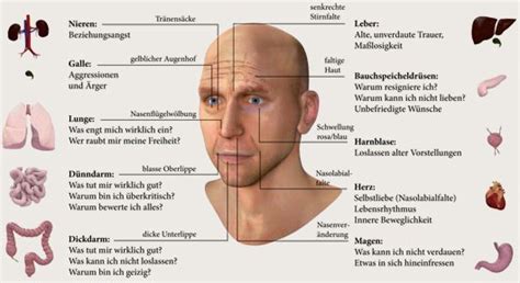 Seelenblockaden Und Krankheiten Auf Einen Blick Erkennen Bewusst