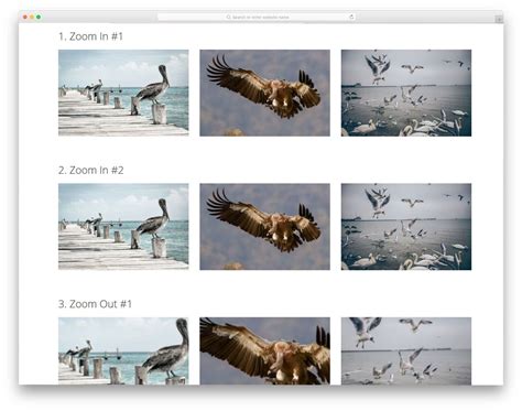 30 Chic CSS Hover Effects You Can Use In 2020 UiCookies