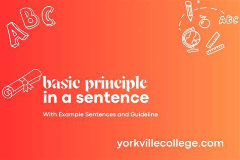 How To Use Basic Principle In A Sentence Easy Examples