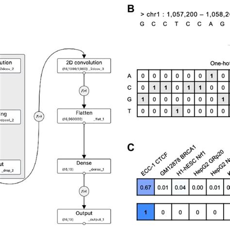 example convolutional neural network cnn model designed using dleb download scientific