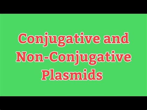 Conjugative Plasmid And Non Conjugative Plasmids Difference Between
