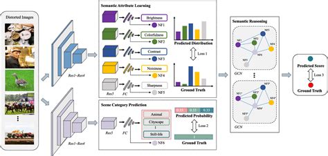 figure 2 from explainable and generalizable blind image quality assessment via semantic